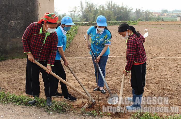 Phụ nữ Xứ Lạng gieo mầm xanh, bảo vệ môi trường